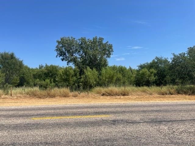 Crystal City, Zavala County, TX Undeveloped Land for sale Property ID ...