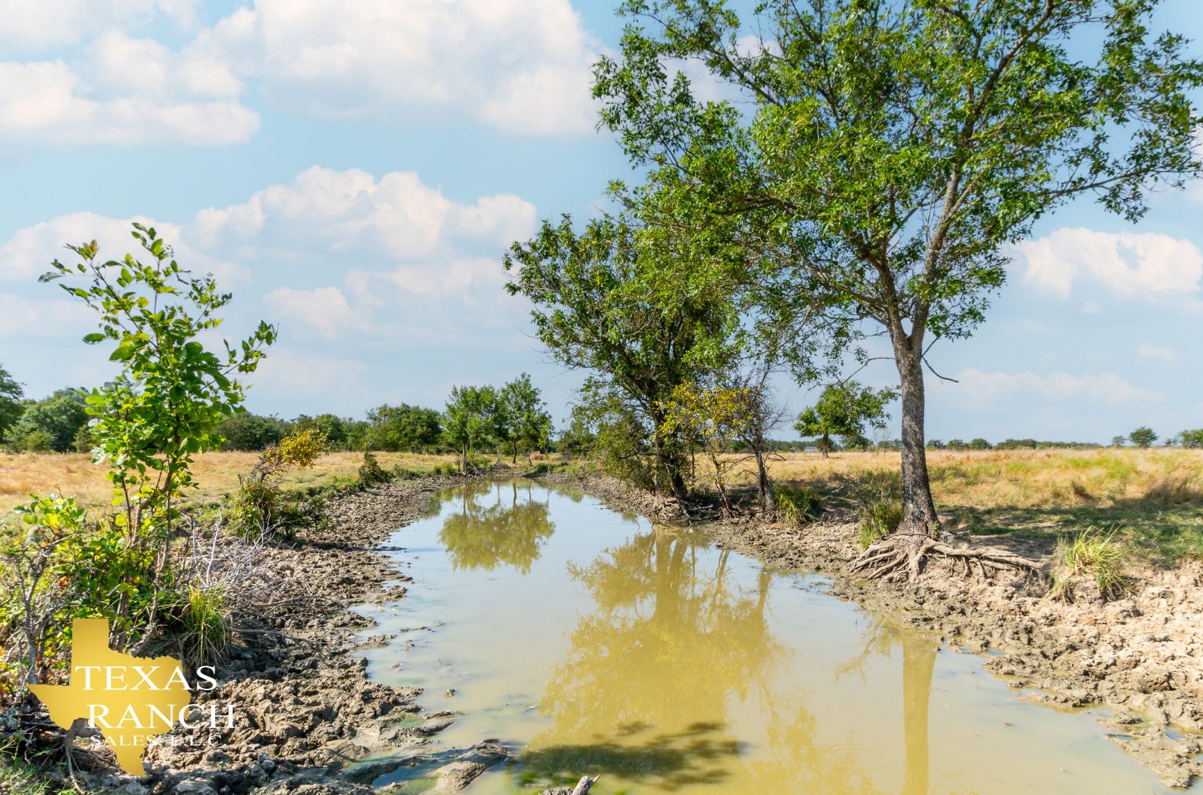 1311 fm 339 s, Lake Limestone, TX 76642 | LandWatch