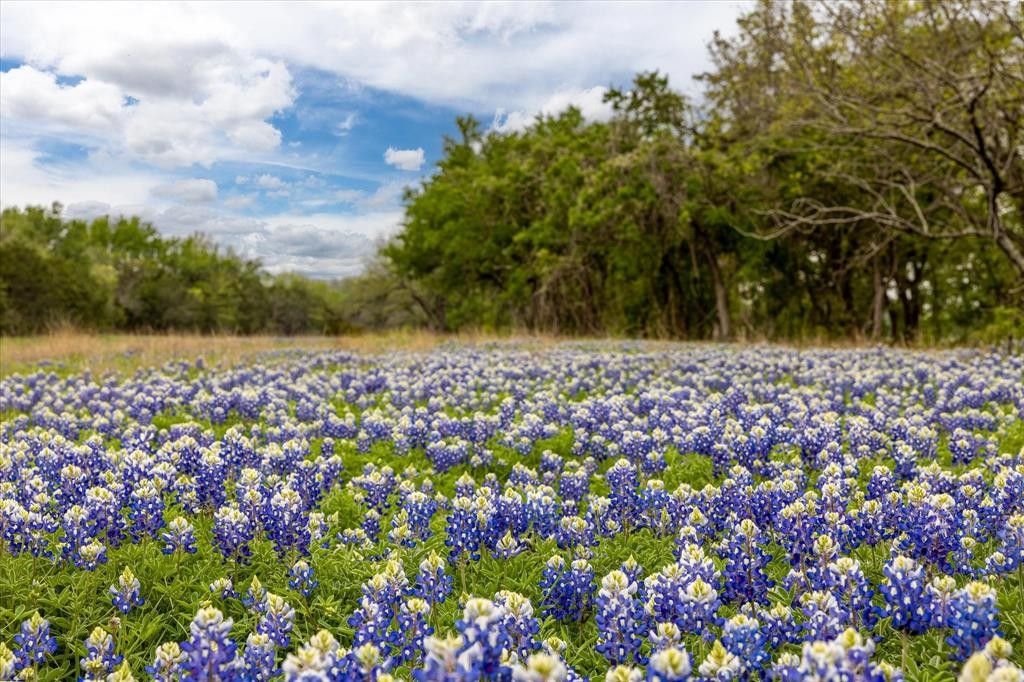 Iredell, Bosque County, TX Farms and Ranches, Lakefront Property ...