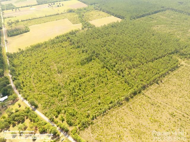 Dry Creek, Allen Parish, LA Timberland Property, Undeveloped Land for ...
