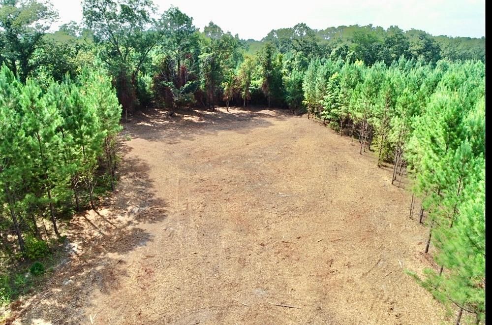 12 acres in Butler, GA, 31039 | LandWatch