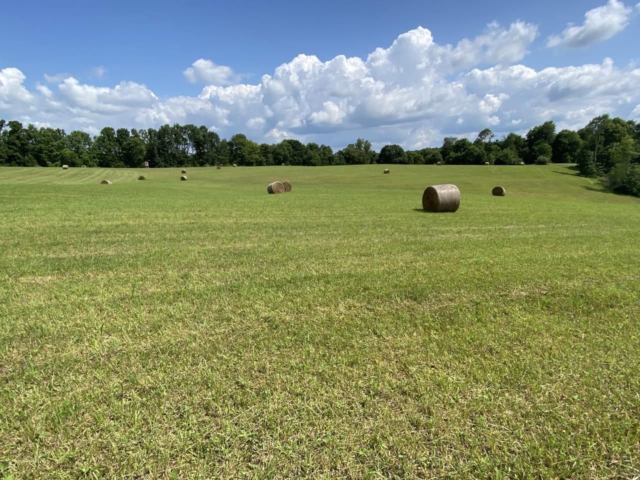 Sumac Rd, Kimbolton, OH 43749 | LandWatch