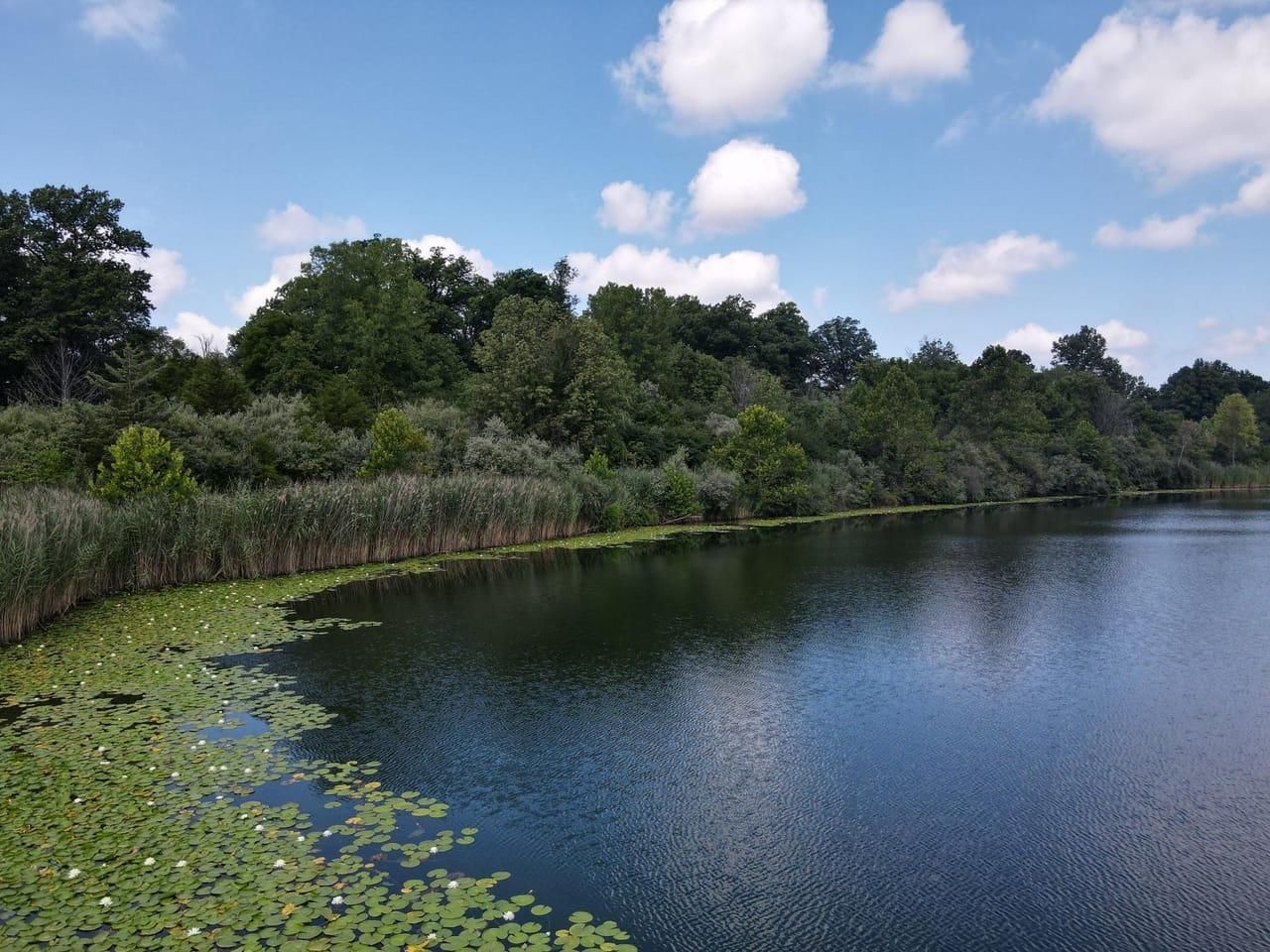 Hutchinson Road, West Terre Haute, IN 47885 | LandWatch