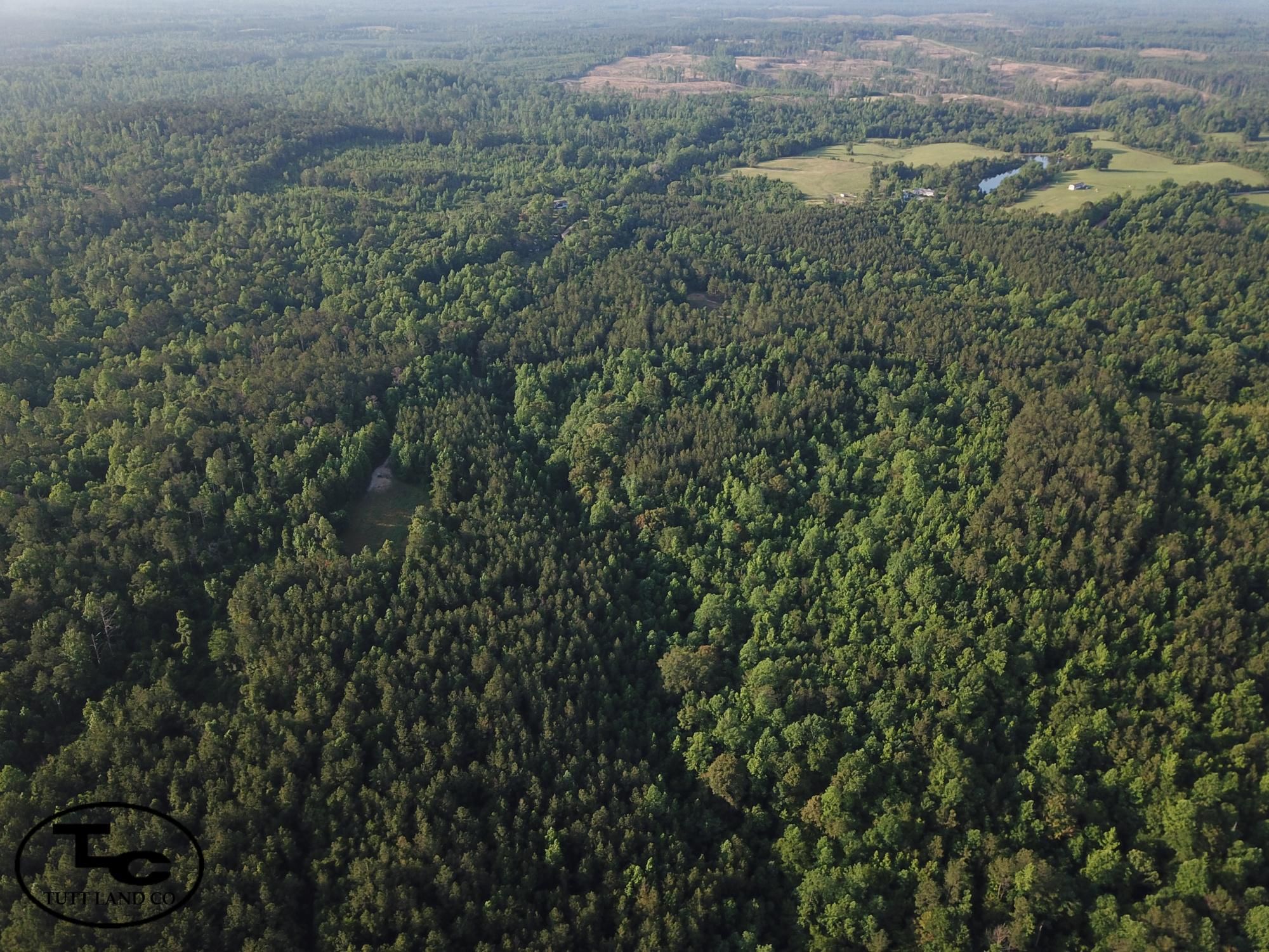 137 acres in Morvin, AL, 36784 | LandWatch