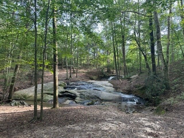 Bowman, Elbert County, GA Undeveloped Land for sale Property ID ...