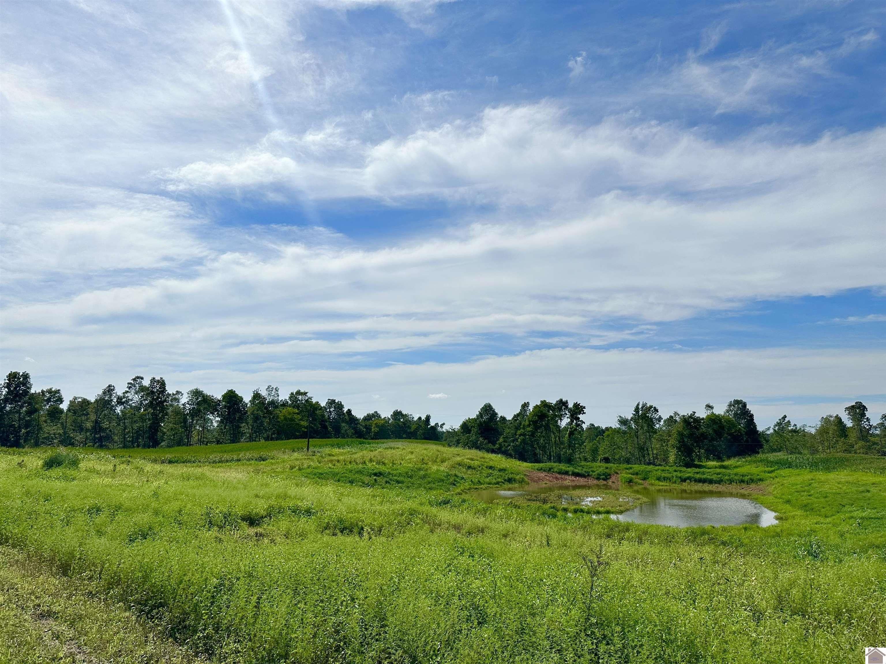 Kuttawa, Lyon County, KY Undeveloped Land for sale Property ID ...