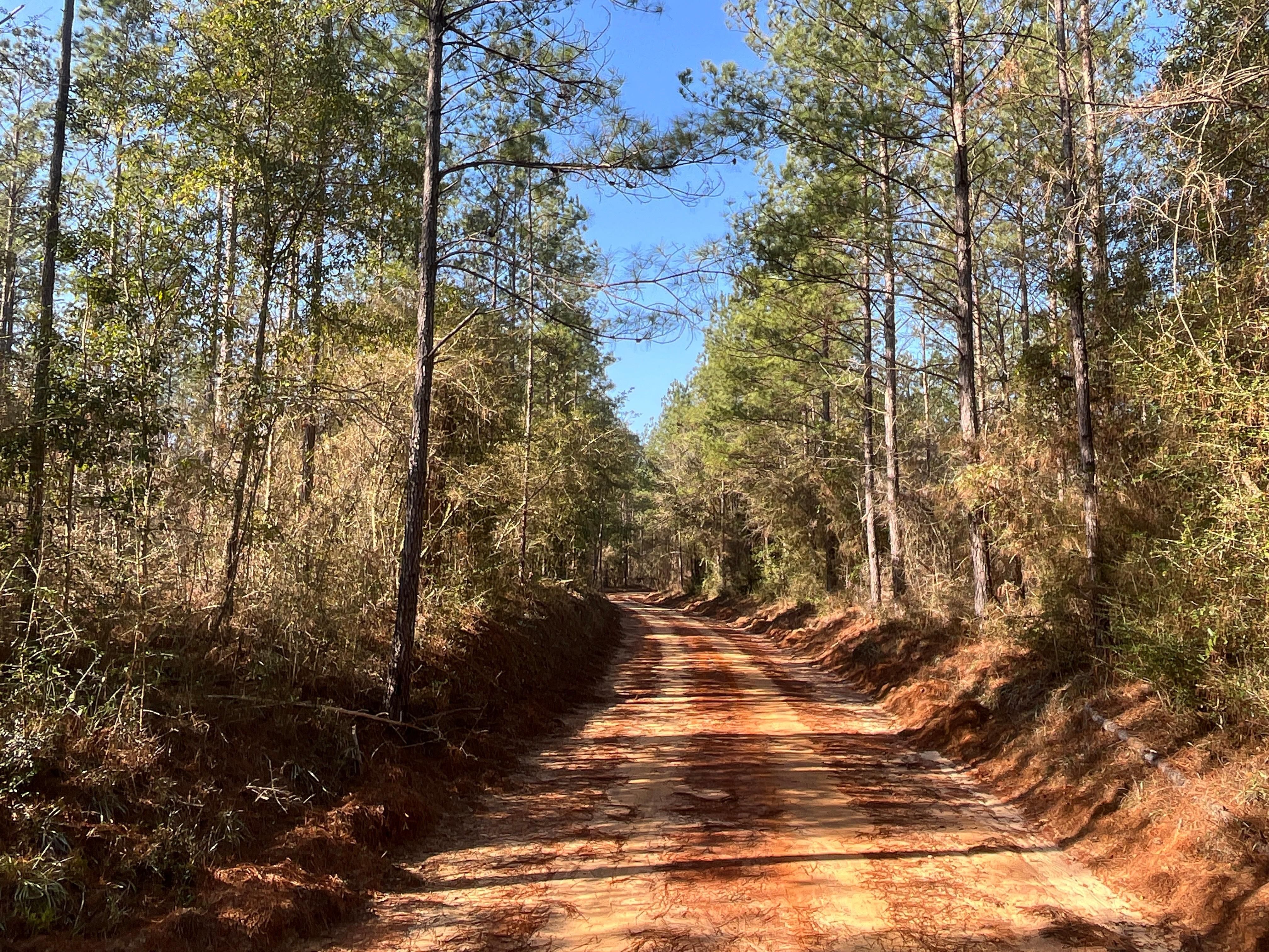 325.9 acres in Bonifay, FL, 32455 | LandWatch