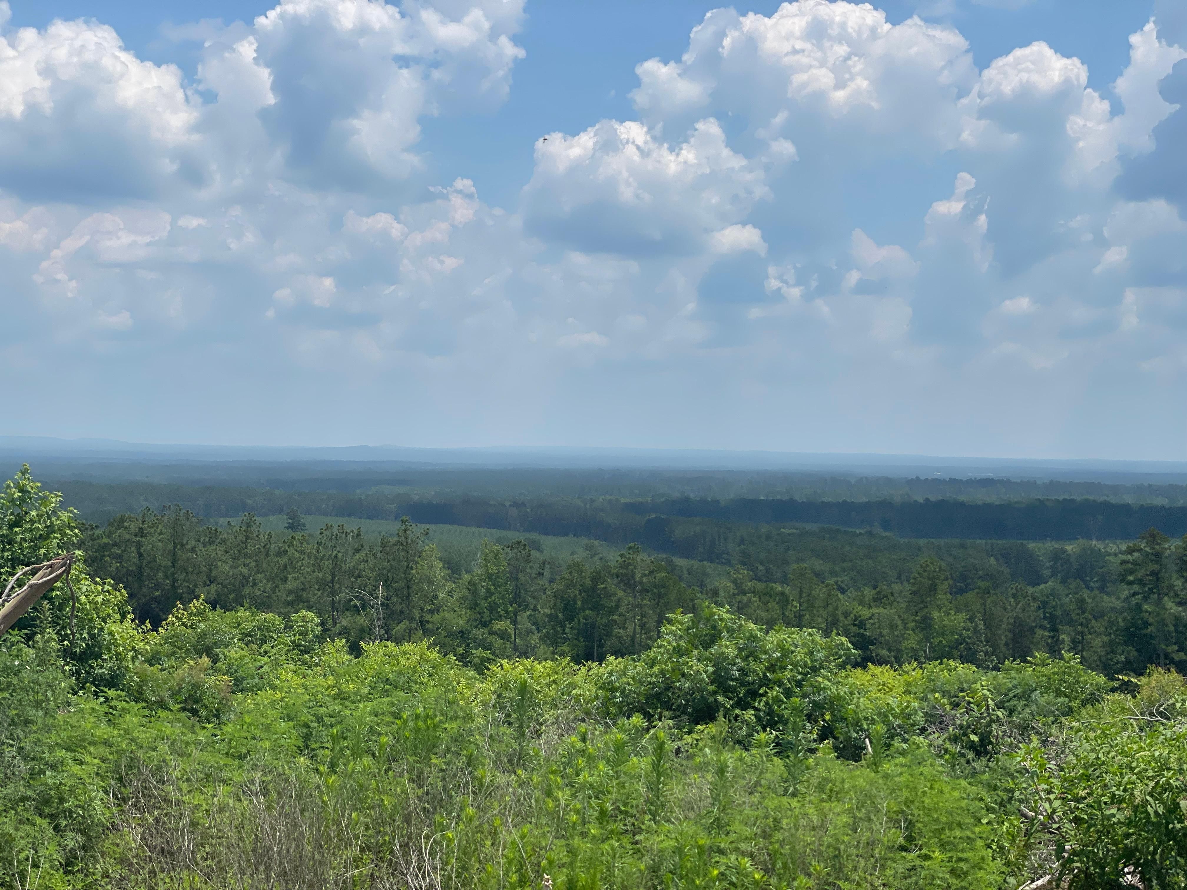 Rusk, Cherokee County, TX Recreational Property, Timberland Property ...