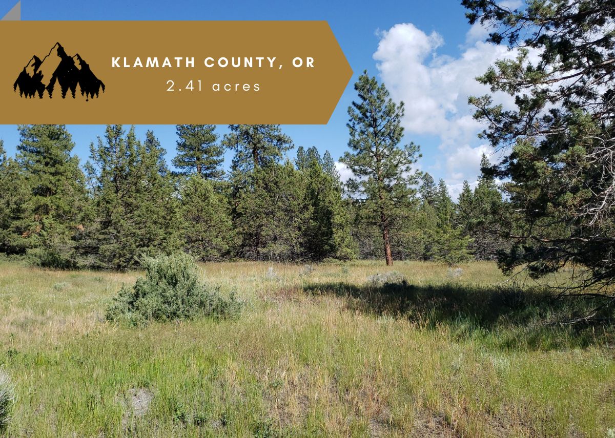 Bonanza, Klamath County, OR Recreational Property, Undeveloped Land ...
