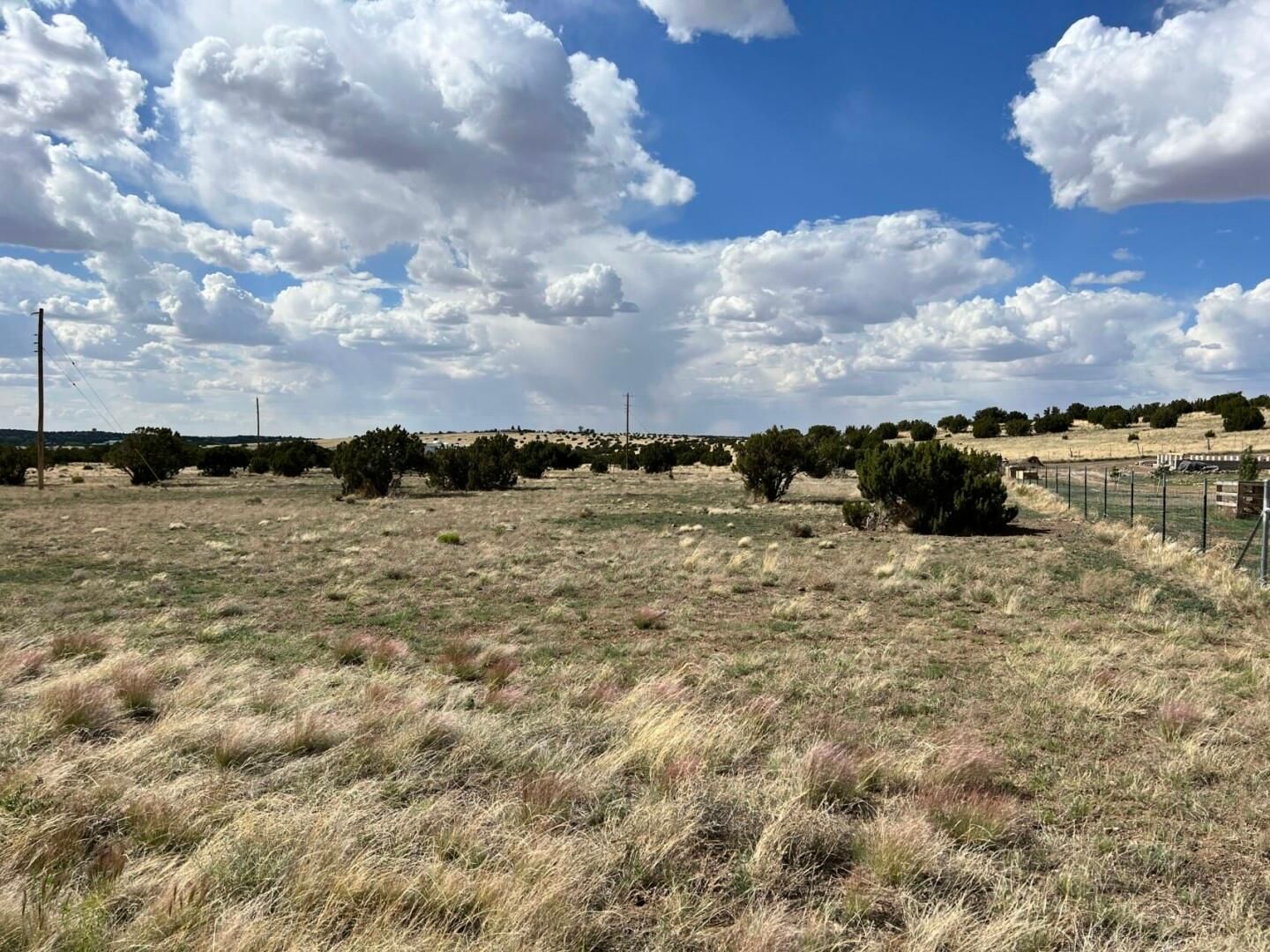 #A5-1354, Concho, AZ 85924 | MLS: 201-29-008C | LandWatch