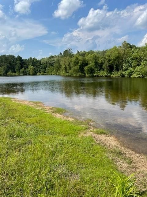 000 Ann Hinton Rd, Beaumont, MS 39476 | MLS: 32179 | LandWatch