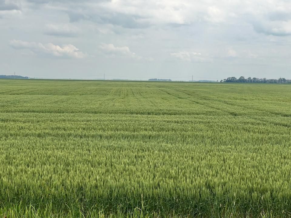 320 acres in Stephen, MN, 56757 | LandWatch