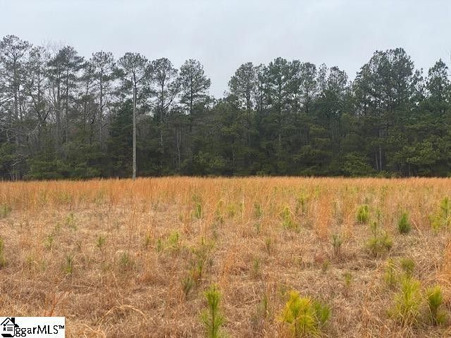 Cross Hill, Laurens County, SC Undeveloped Land for sale Property ID ...