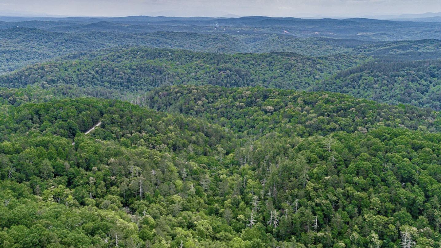Ranger, Gordon County, GA Recreational Property, Undeveloped Land ...