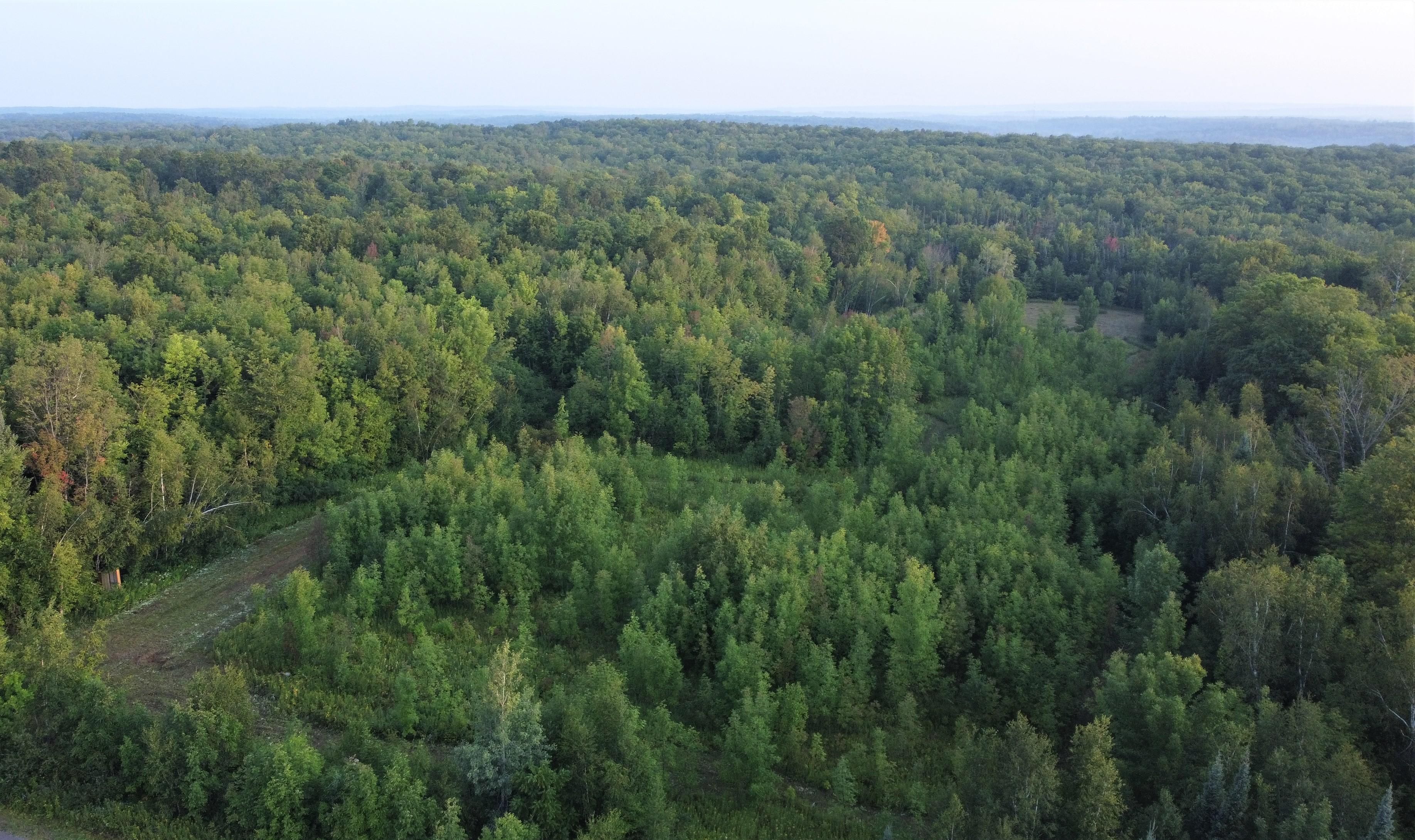 West Eckel Lane, Exeland, WI 54835 | LandWatch