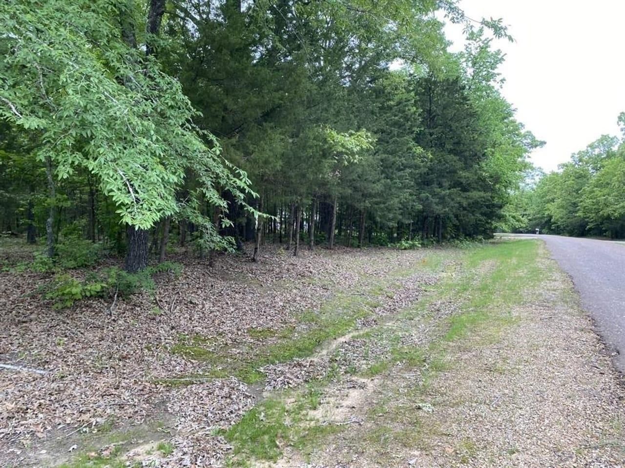 Powderly, Lamar County, TX Recreational Property, Undeveloped Land ...