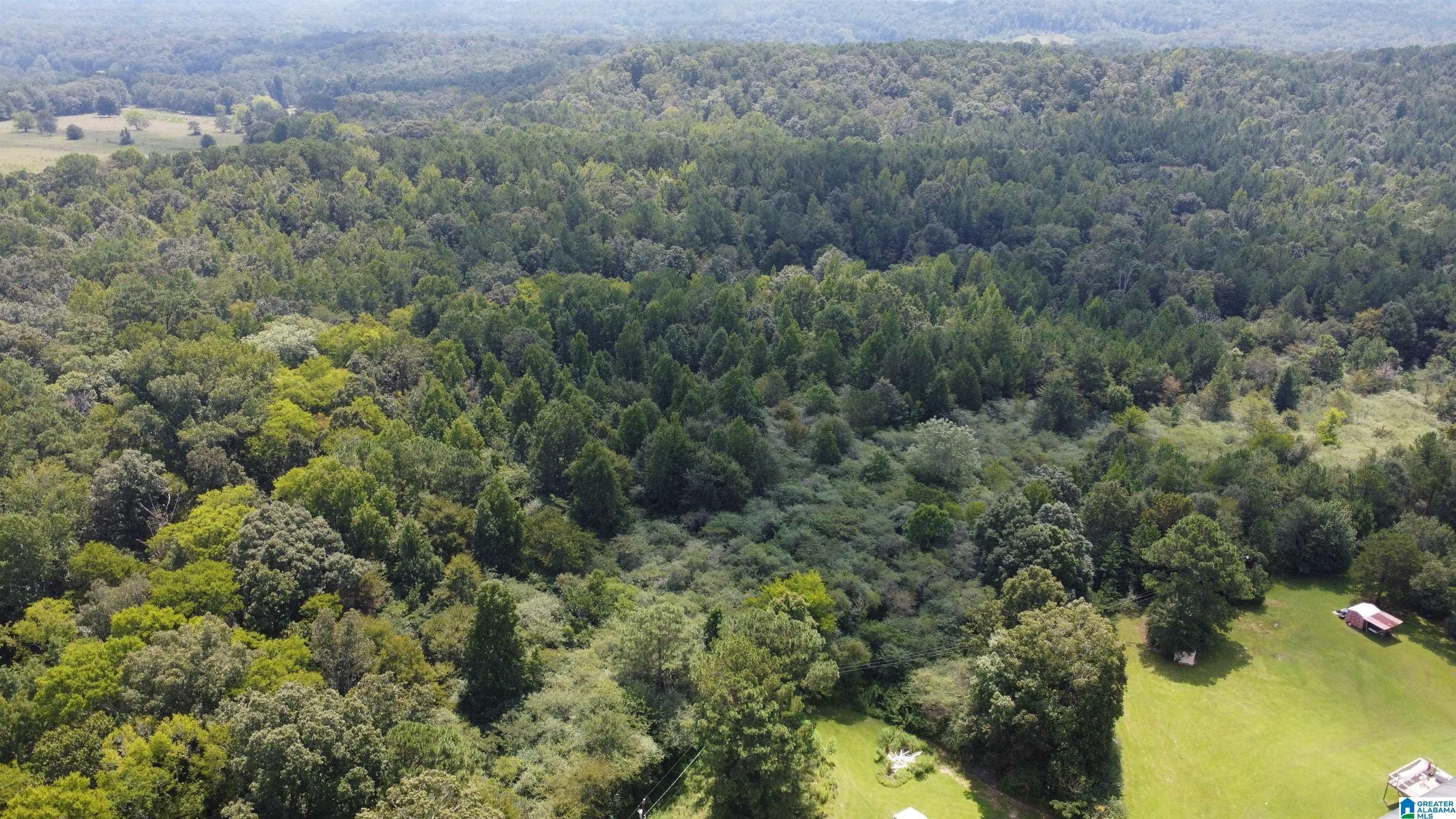 Dora, Jefferson County, AL Undeveloped Land for sale Property ID ...