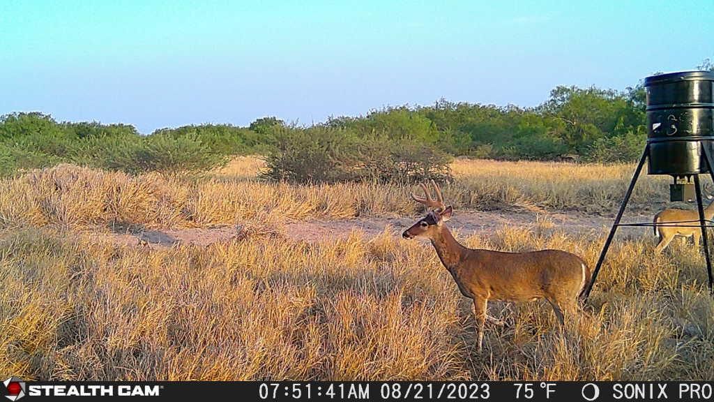 North of 14 Mile Line Road, McCook, TX 78541 | LandWatch