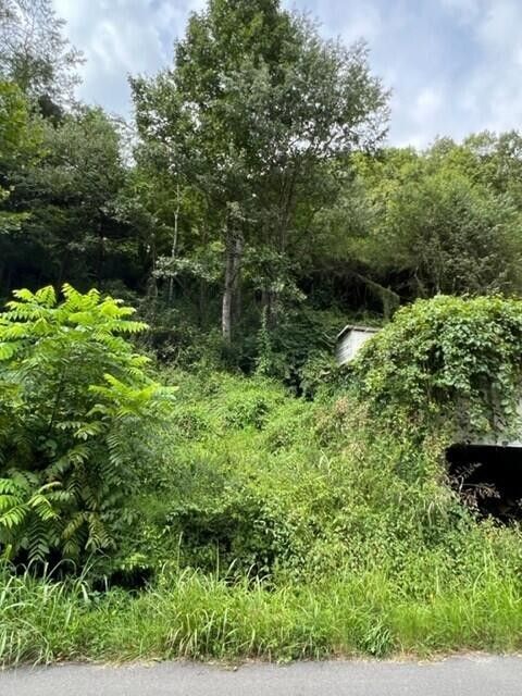 Duffield, Scott County, VA Undeveloped Land for sale Property ID ...