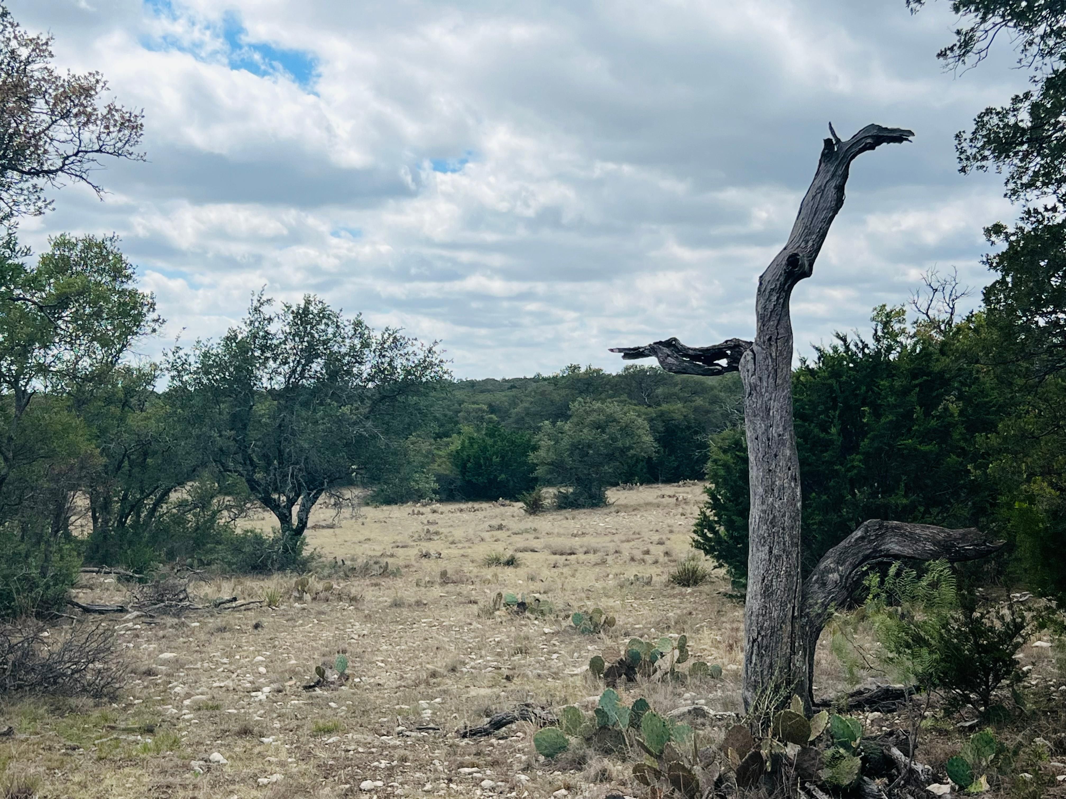26.63 acres in Menard, TX, 76859 | LandWatch