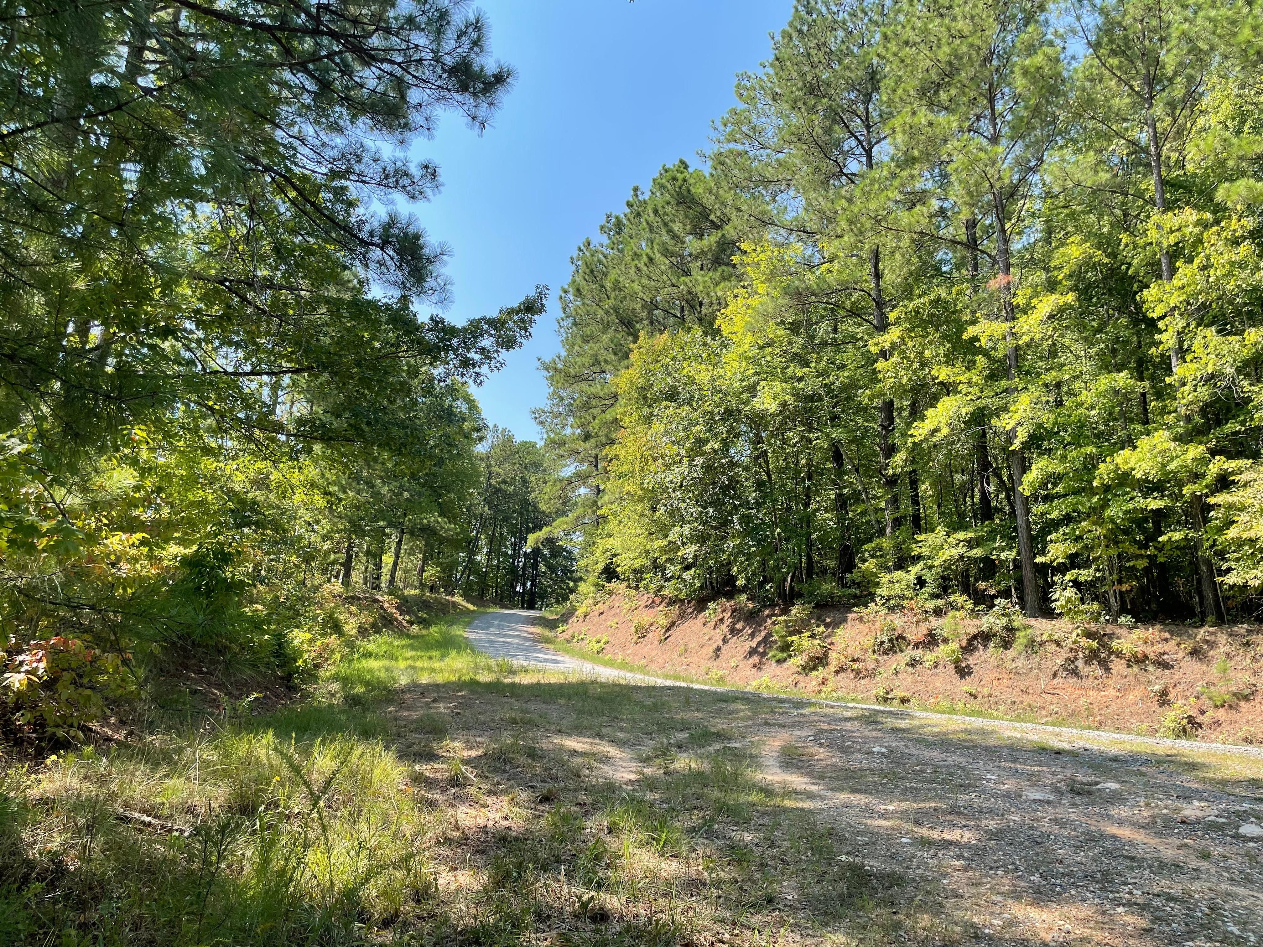 Brewer Farm Road, Pekin, NC 28380 | MLS: Seaboard 35 Acres | LandWatch