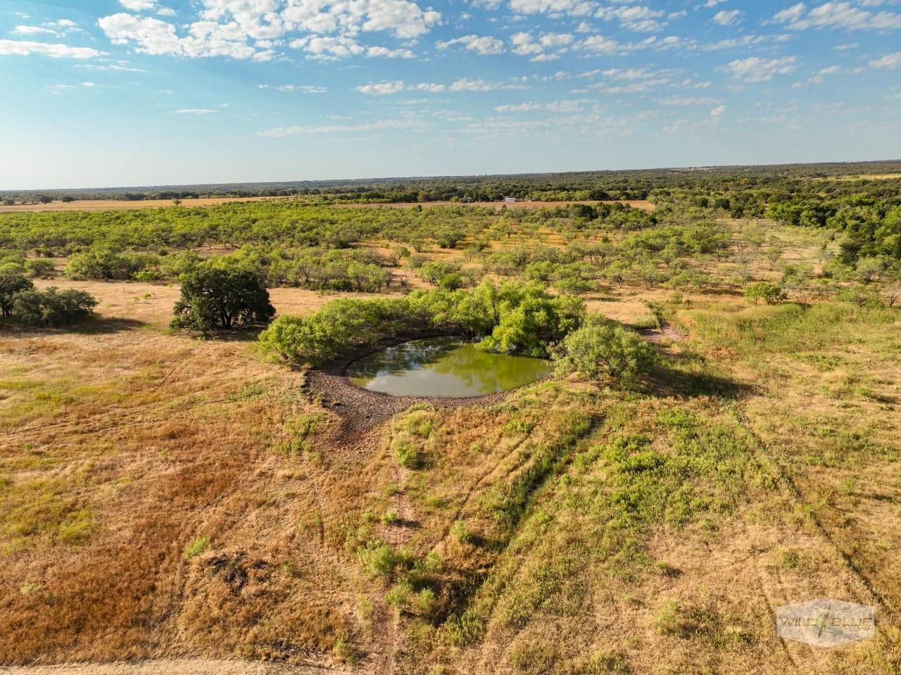 Gorman, Comanche County, TX Farms and Ranches, Hunting Property for ...