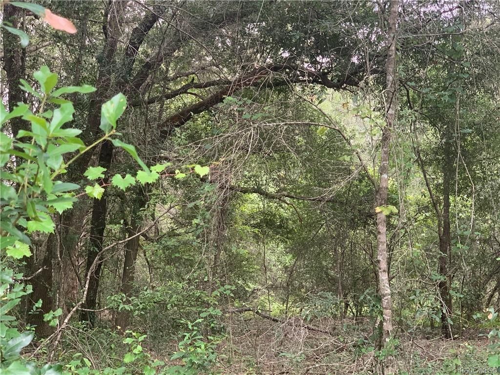 Inverness, Citrus County, FL Undeveloped Land, Homesites for sale ...