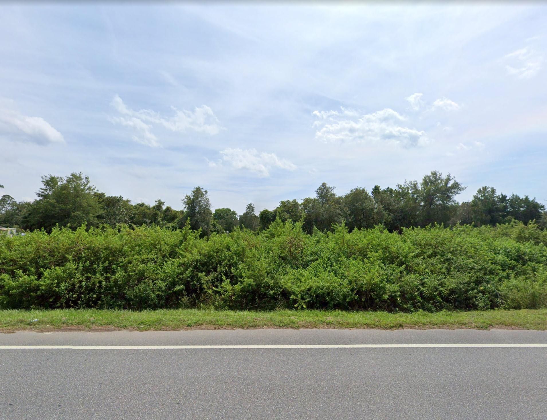 Palmetto St, Paisley, FL 32767 | LandWatch