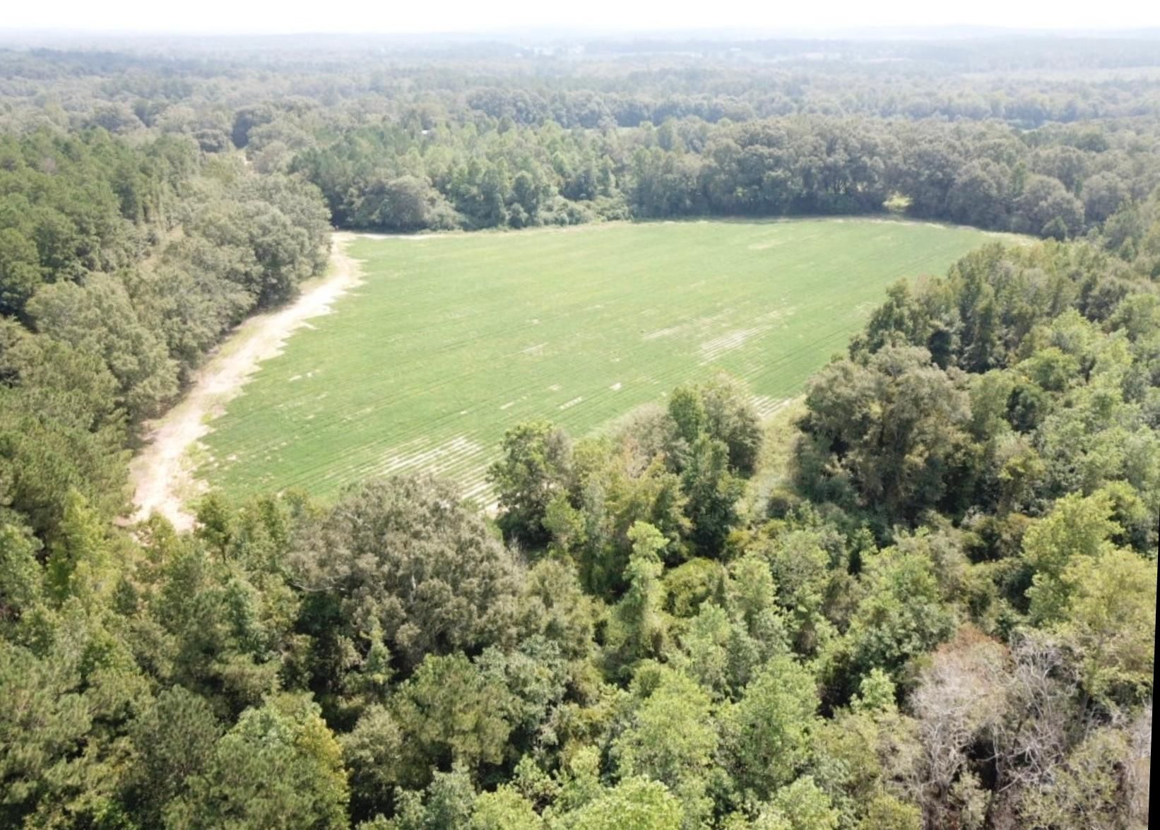 County Road 217, Jack, AL 36346 | LandWatch
