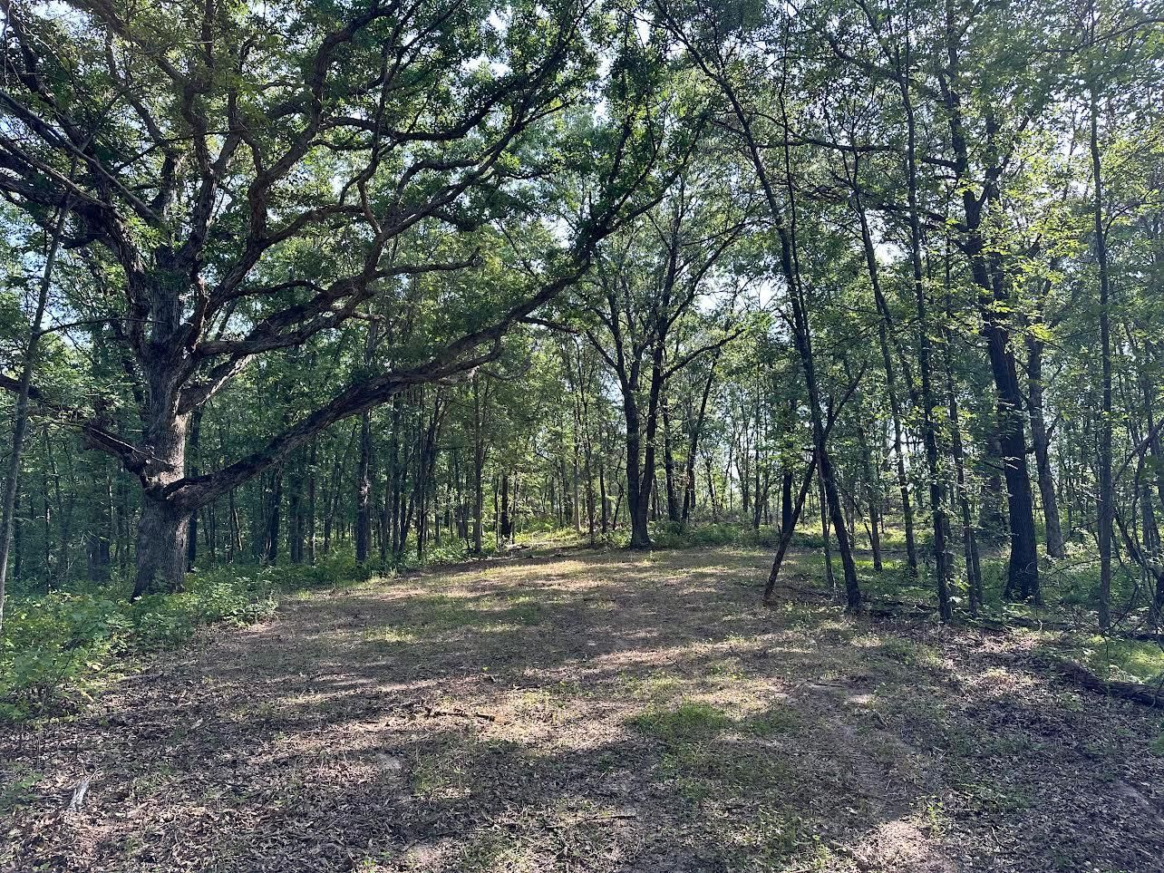 Oak Trail, Novinger, MO 63559 | MLS: 34678 | LandWatch