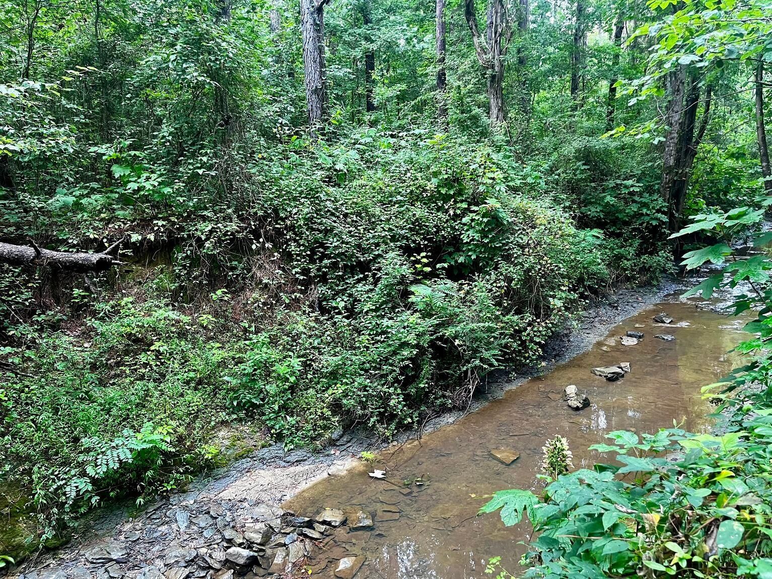 Mississippi 30, Baldwyn, MS 38824 | MLS: 23-2939 | LandWatch