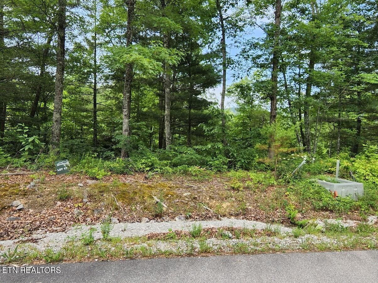 Walland, Blount County, TN Undeveloped Land, Homesites for sale ...