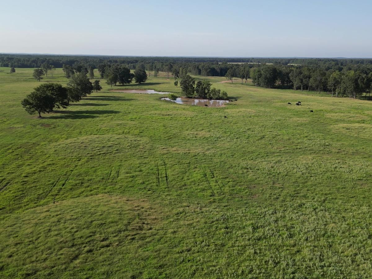 1,000 acres in Simms, TX, 75574 | LandWatch
