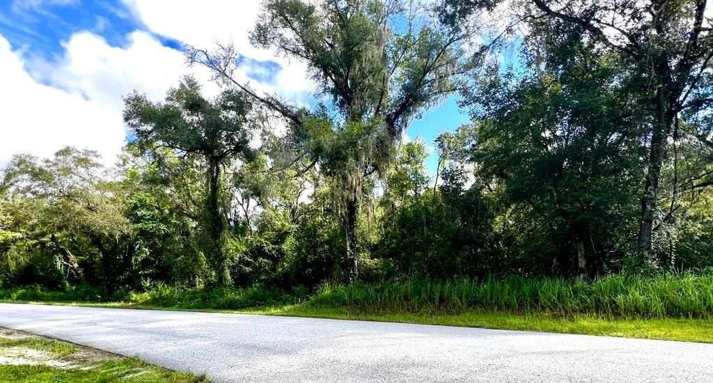 Ridge Manor, Hernando County, FL Undeveloped Land, Homesites for sale ...