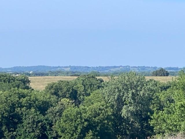 Liv 433rd, Dawn, MO 64638 | MLS: 2402253890 | LandWatch
