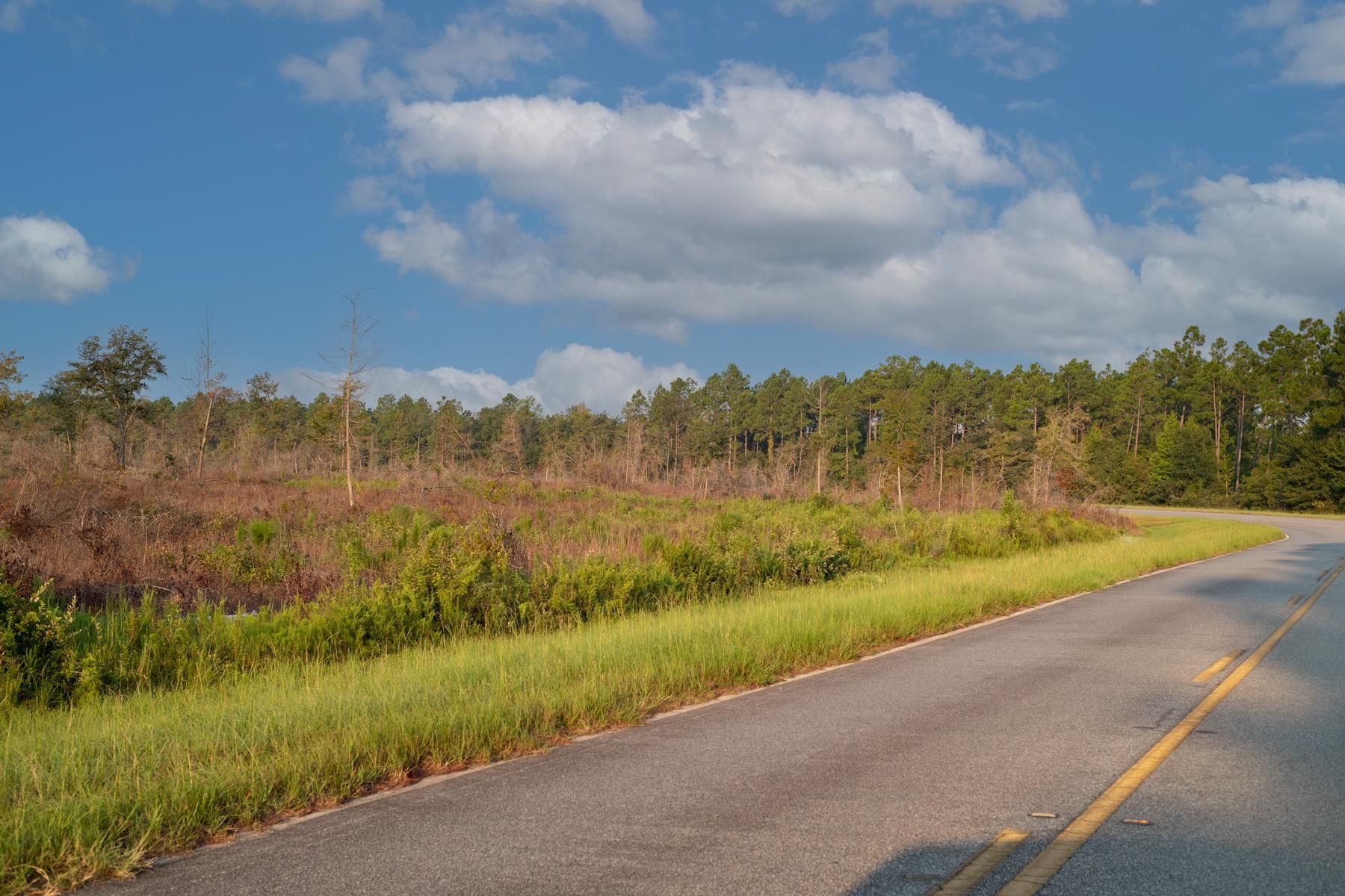 Buddy Adams Parkway, Donalsonville, GA 39845 | LandWatch
