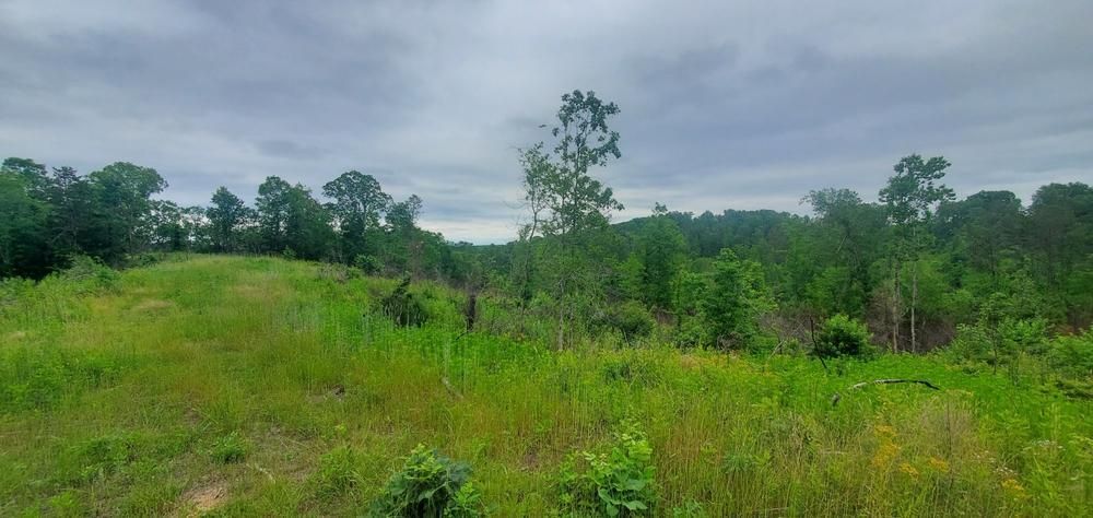 Ohatchee, Calhoun County, AL Undeveloped Land, Hunting Property for ...