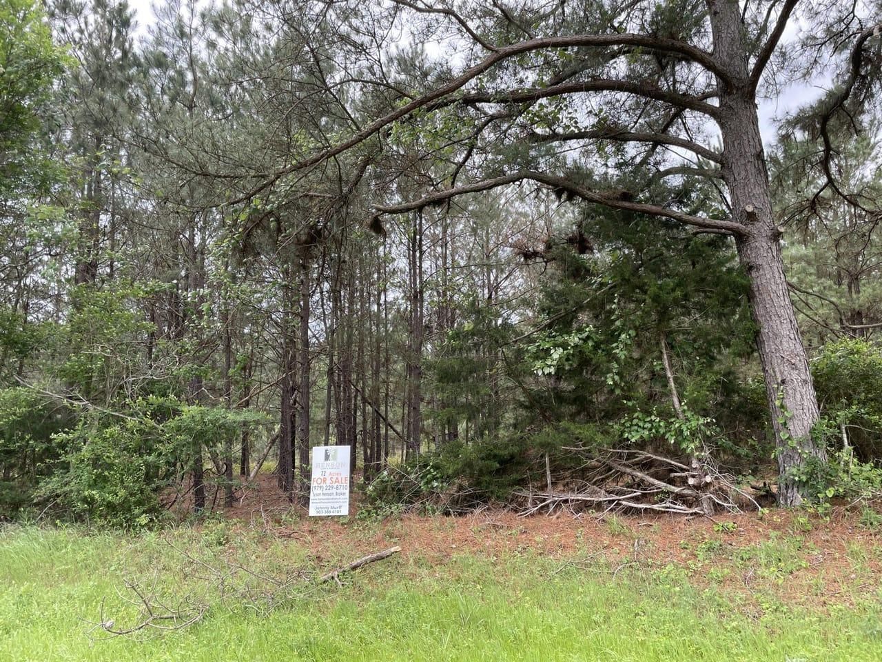 Land For Sale Leona Texas at Isla Lascelles blog