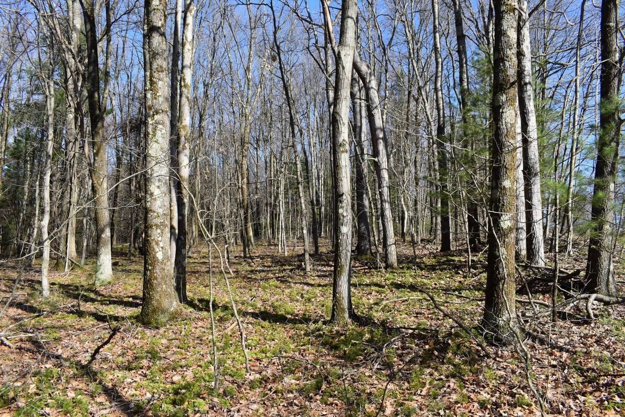 President Road, Venus, PA 16364 | LandWatch