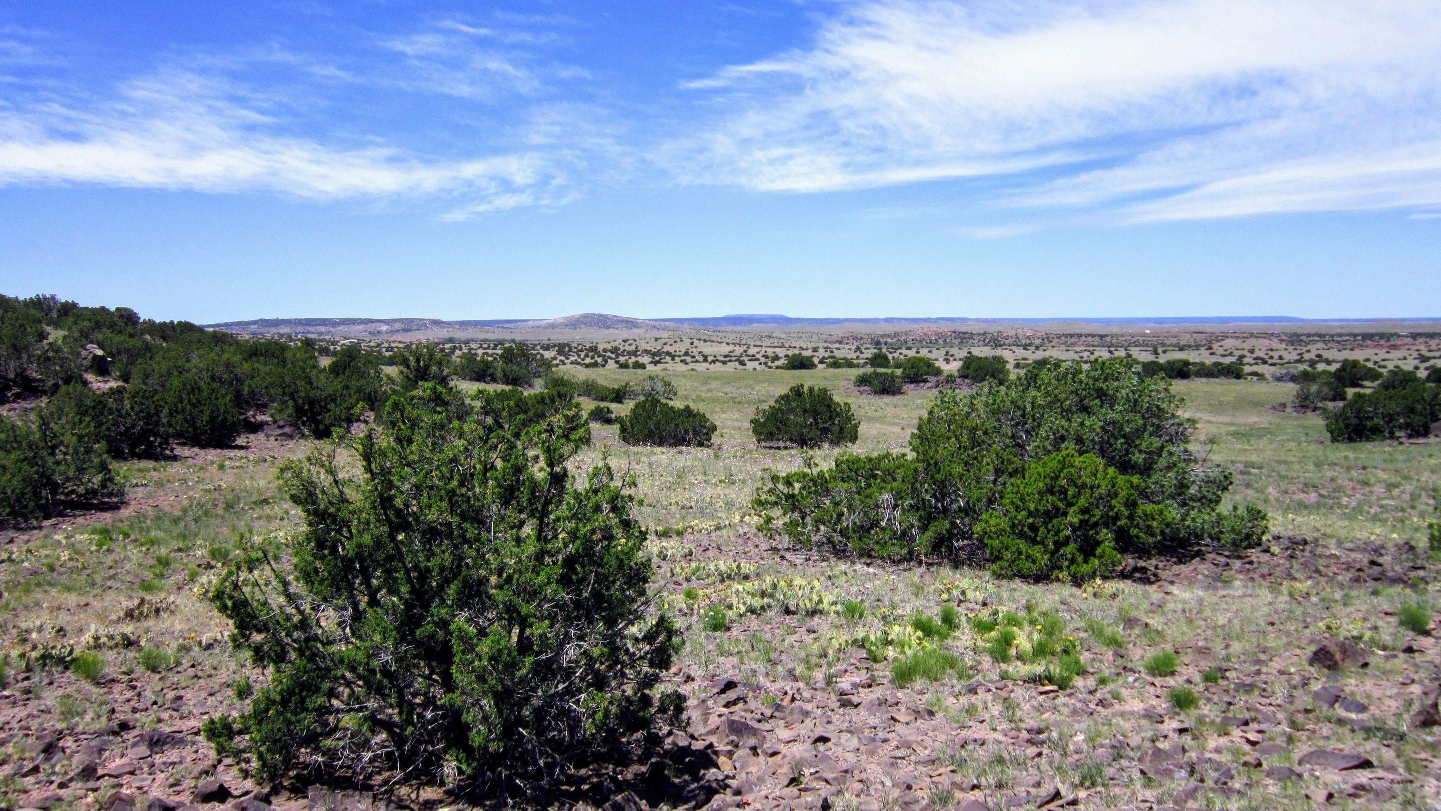 10.47 acres in Sanders, AZ, 86512 | MLS: 0450-2023-AZAPA | LandWatch