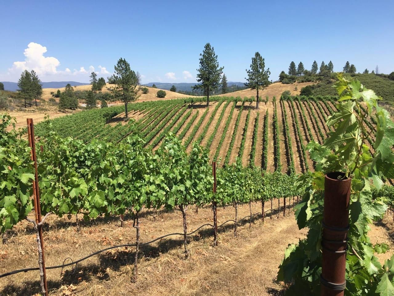 7005 Mountain Ranch Rd, Mountain Ranch, CA 95246 | LandWatch