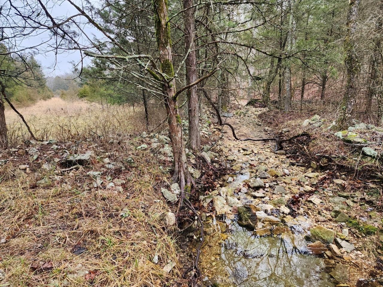 Gainesville, Ozark County, MO Recreational Property, Hunting Property ...