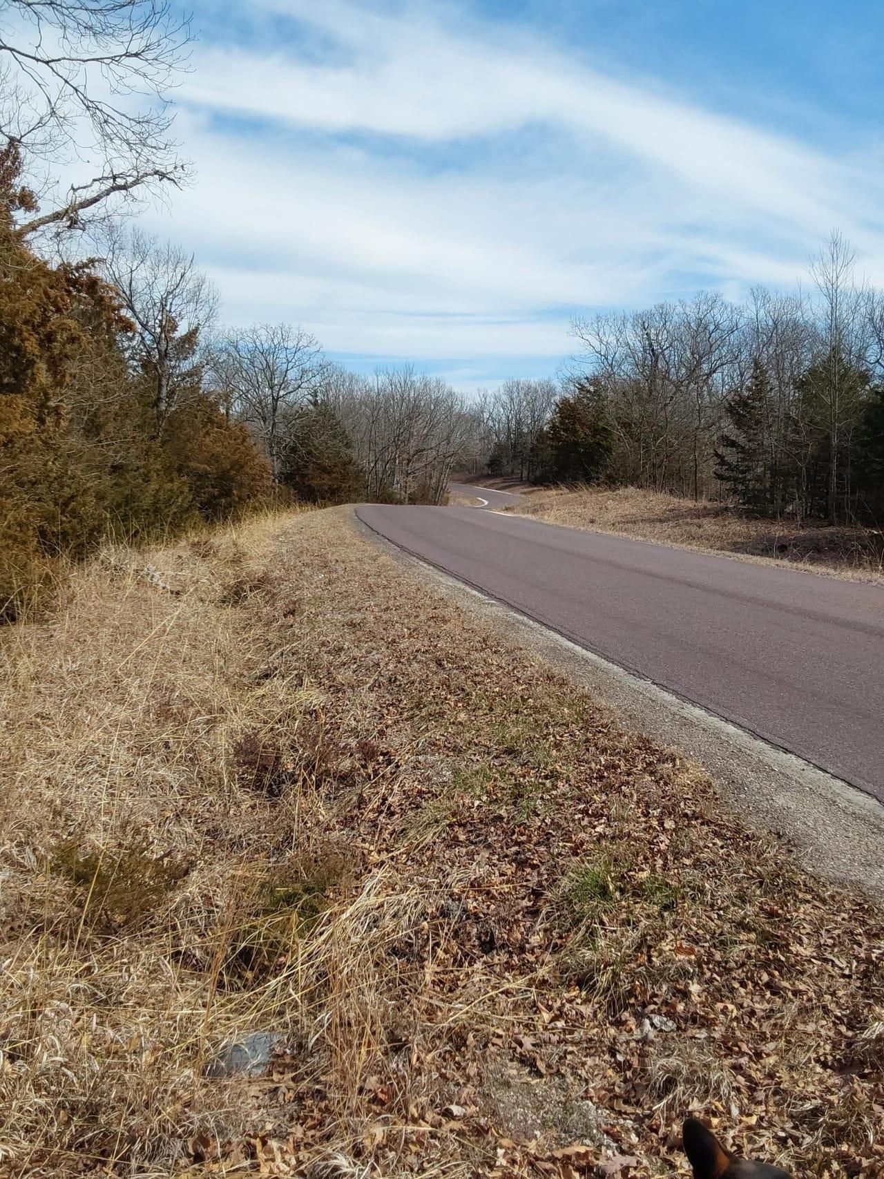 69 acres in Rocky Mount, MO, 65072 | LandWatch