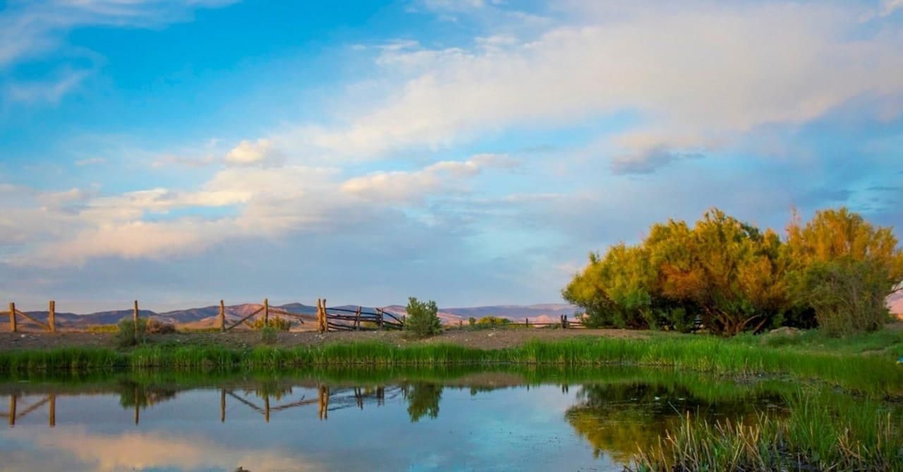 TBD State Highway 141, Egnar, CO 81325 | LandWatch