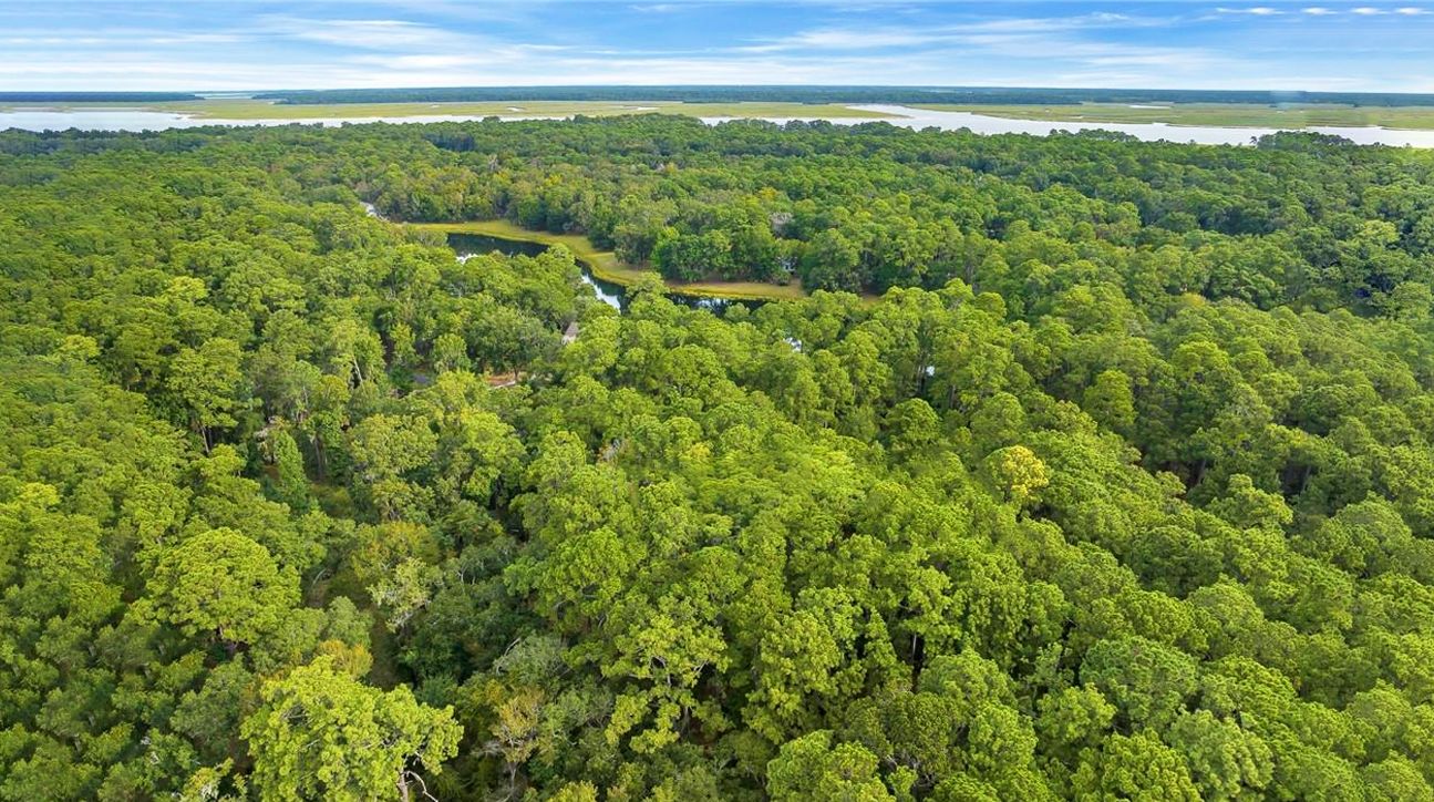 Forest Lake Drive, Daufuskie Island, SC 29915 | LandWatch