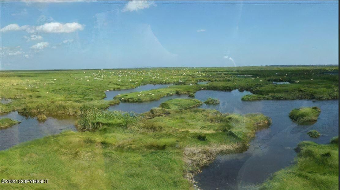00 Ugashik River, Pilot Point, AK 99649 | MLS: 22-8062 | LandWatch
