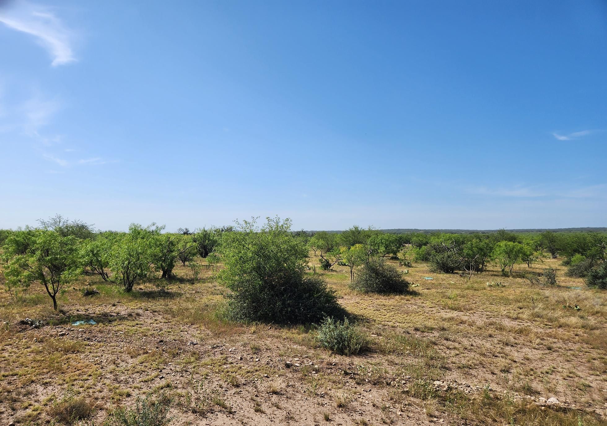 Dry Creek Road, Menard, TX 76859 | MLS: 165727 | LandWatch