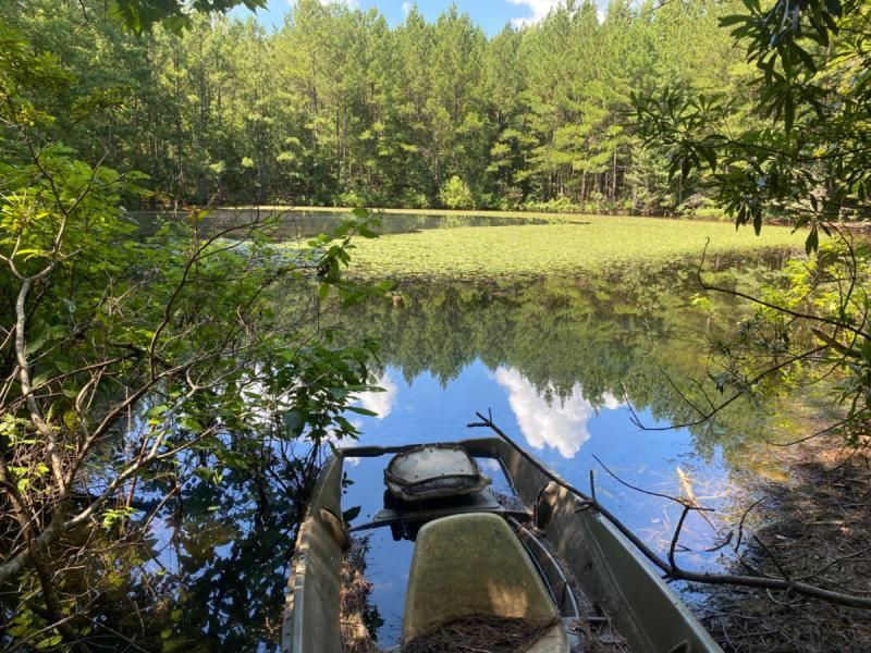 Brookhaven, MS, Brookhaven, MS 39601 | LandWatch