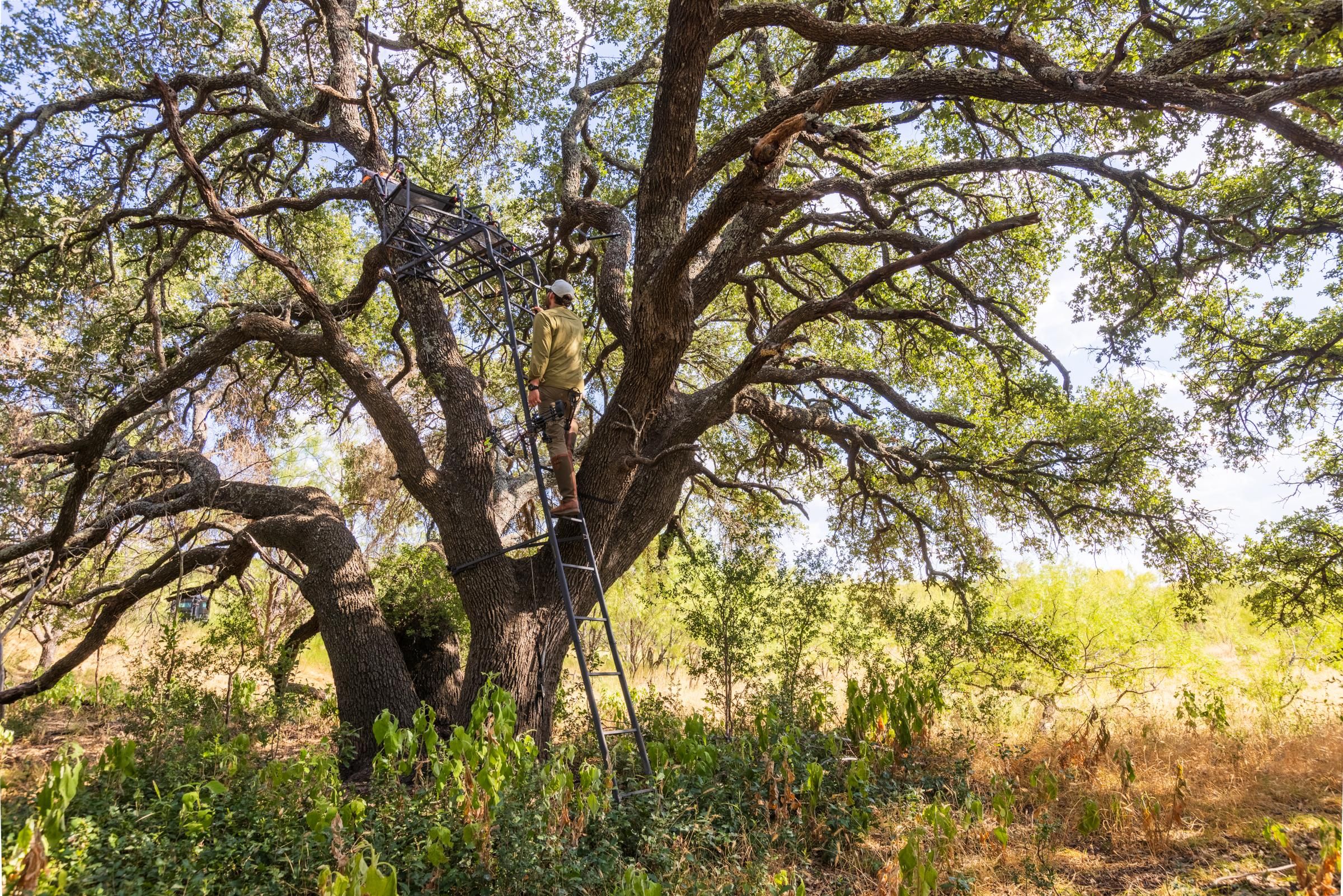 256 acres in Mullin, TX, 76864 | MLS: WB Ranch | LandWatch