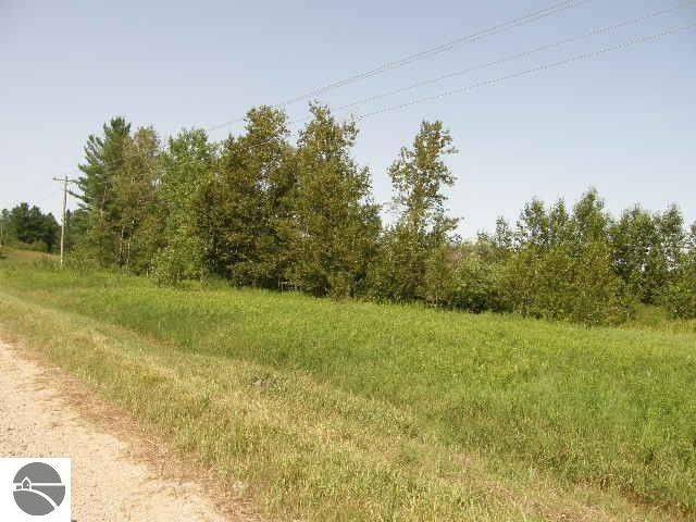Marion, Osceola County, MI Undeveloped Land for sale Property ID ...